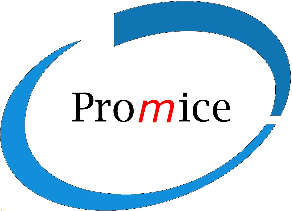 Promice – Projectmanagement and advice